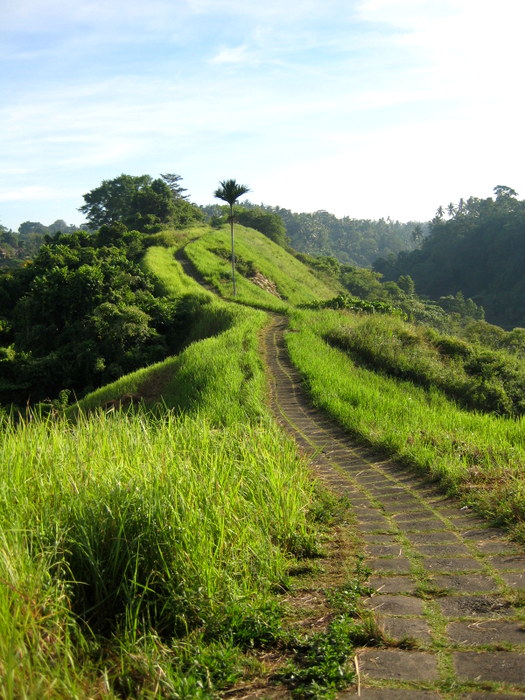 Magical, Magical Ubud - Stella Muse