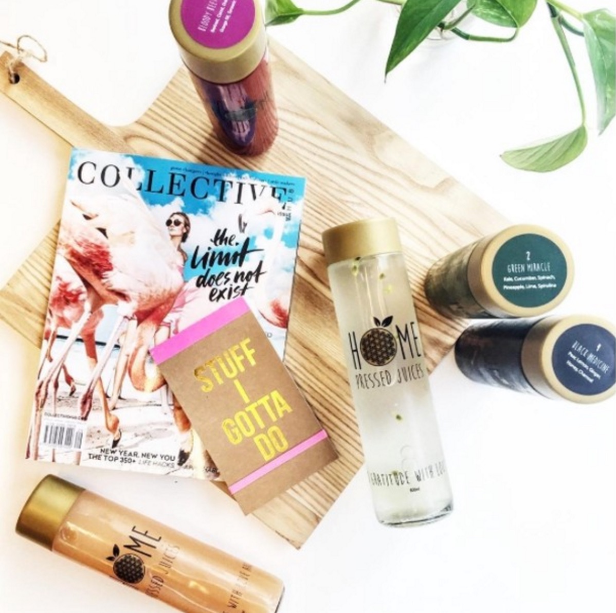 Detox to Empower Your Divine Body Temple - Stella Muse